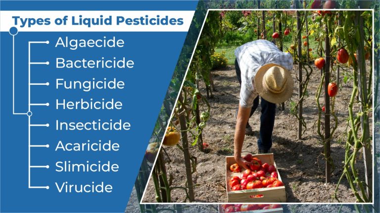 Pesticide Packaging Line for All Liquid Pesticides for Bottles